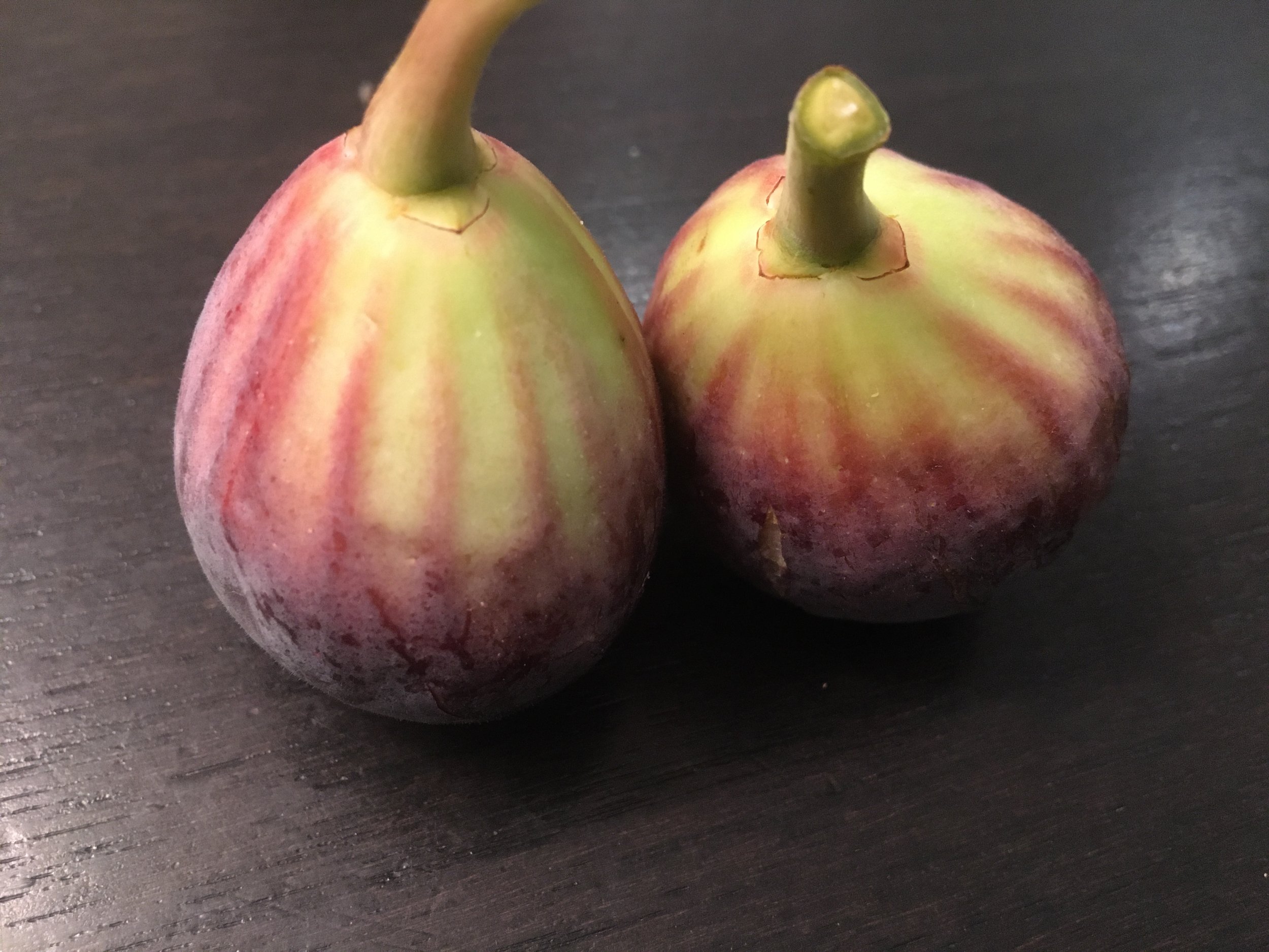Guide to Cold-Climate Fig Varieties — Food Garden Life: Edible Garden ...