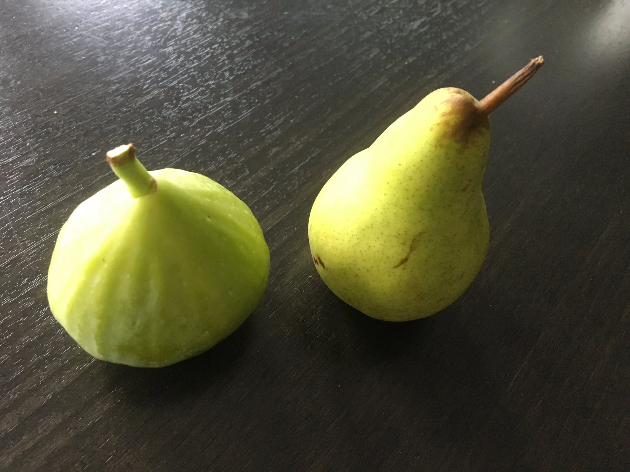 Guide to Cold-Climate Fig Varieties — Food Garden Life: Edible Garden ...