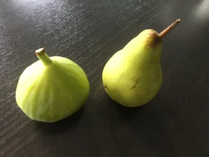 Guide to Cold-Climate Fig Varieties — Food Garden Life: Edible Garden ...