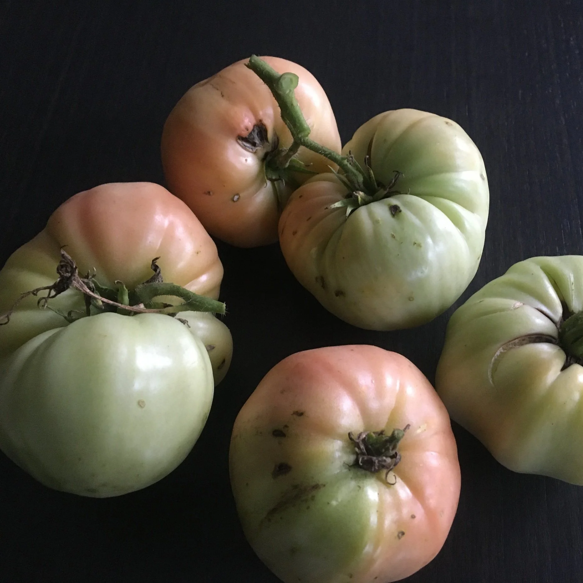Ripen Green Tomatoes to Extend Your Harvest — Food Garden Life: Edible ...