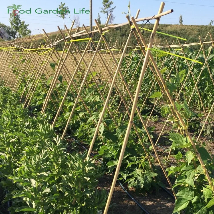 Guide: Vertical Vegetable Garden Ideas and Plants — Food Garden Life