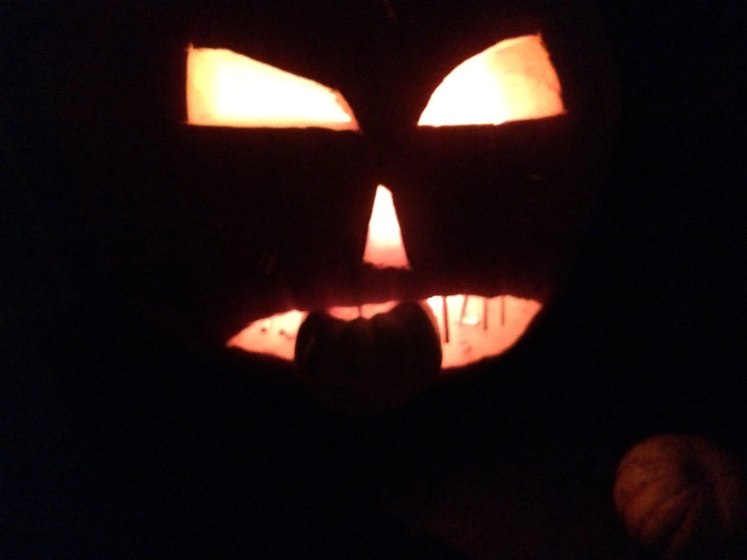 What to do with Pumpkins after Halloween (and a Pumpkin Recipe!) — Food ...