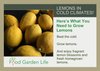 Lemon Leaf Uses – Recipes for Lemon Leaves from Your Potted Lemon Tree ...