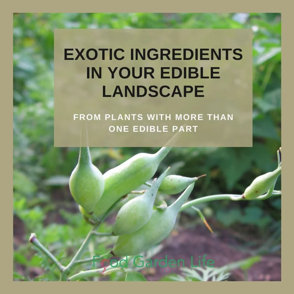 More than One Edible Part! These Plants are a Great Addition to an ...
