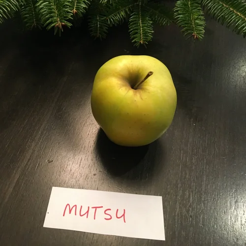How to Host an Apple Tasting and Find the Best-Tasting Apple — Food ...