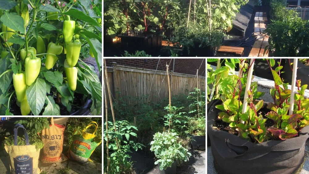 Guide: Vertical Vegetable Garden Ideas and Plants — Food Garden Life ...