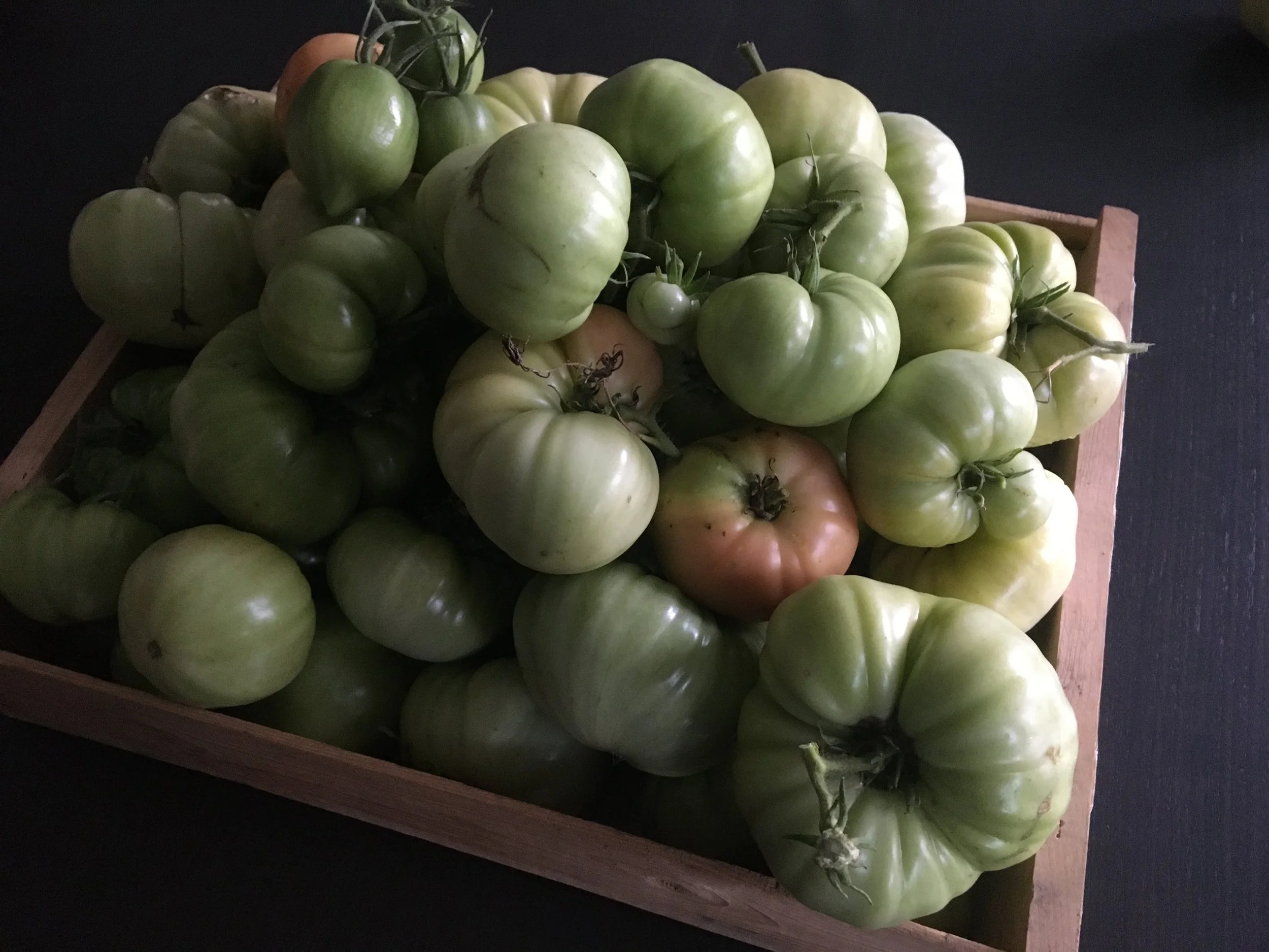 Green Tomato Mincemeat Recipe — Food Garden Life: Edible Garden ...