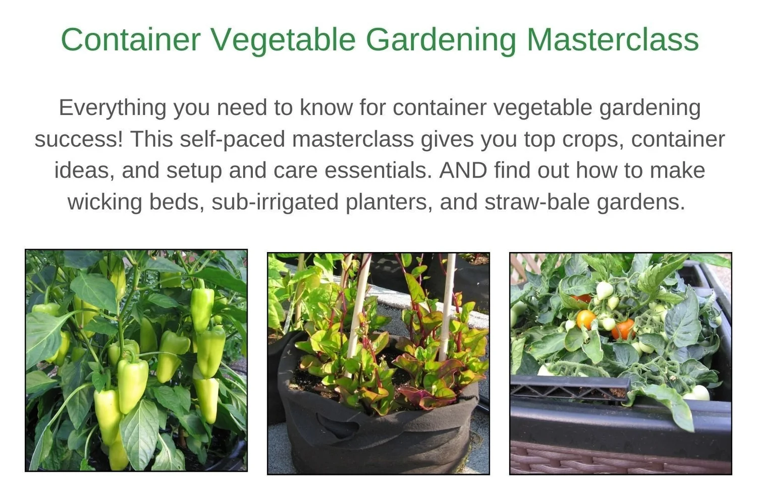 SPRING Finale: How to Grow a Climate-Change Veggie Garden — Food Garden ...