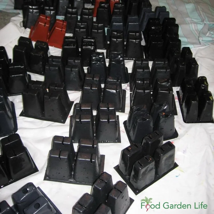 Grow Your Own Tomato Plants from Seed - Everything You Need to Know ...