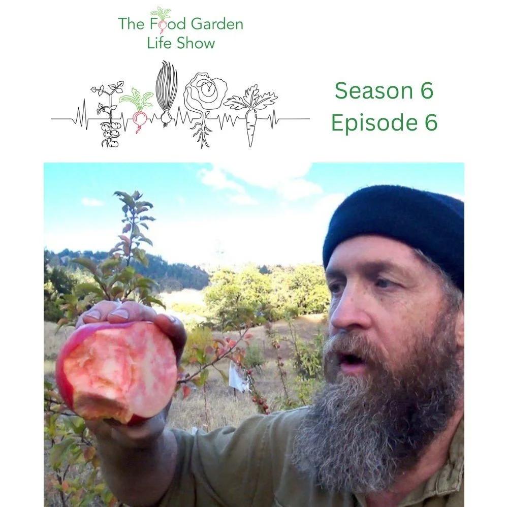 Grafting Apple Trees at Home. Made Easy — Food Garden Life: Edible ...