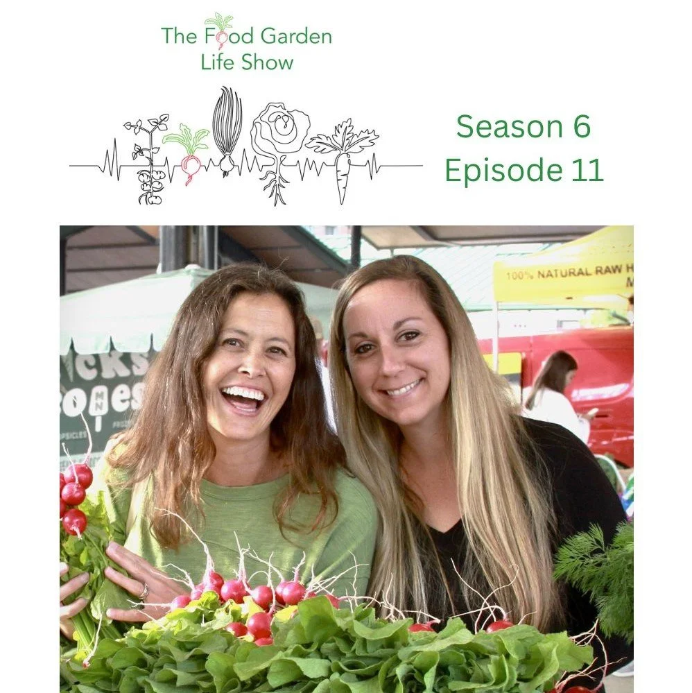 How to Homestead and Live Sustainably in Your Community: Small-Scale ...