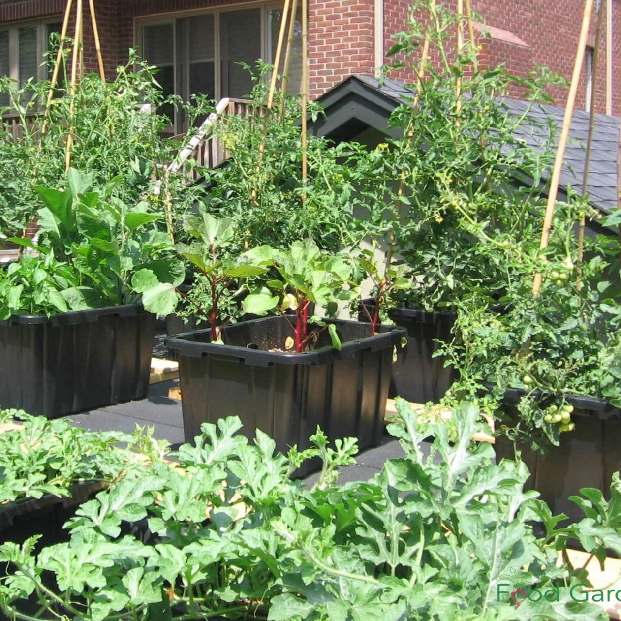 Want to Water Less and Harvest More? Try Sub-Irrigated Planters — Food ...