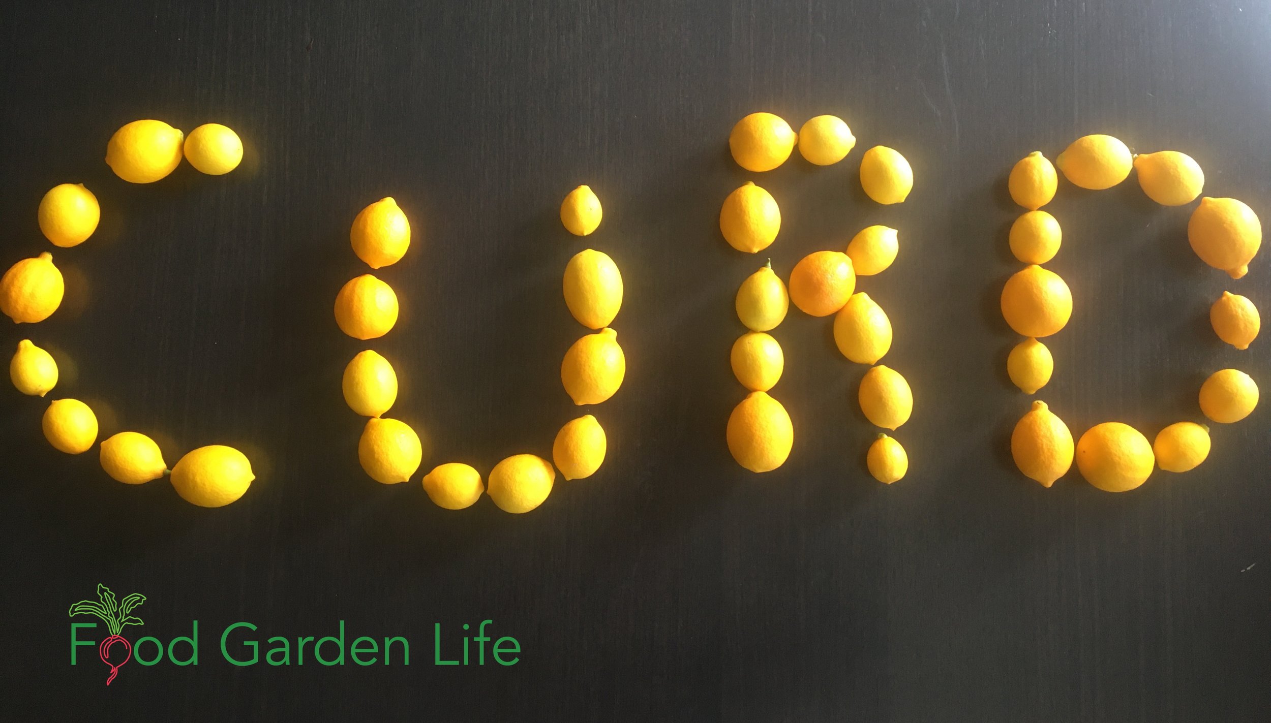 How to a Grow Lemon Tree Indoors (That Actually Produces Lemons) — Food ...