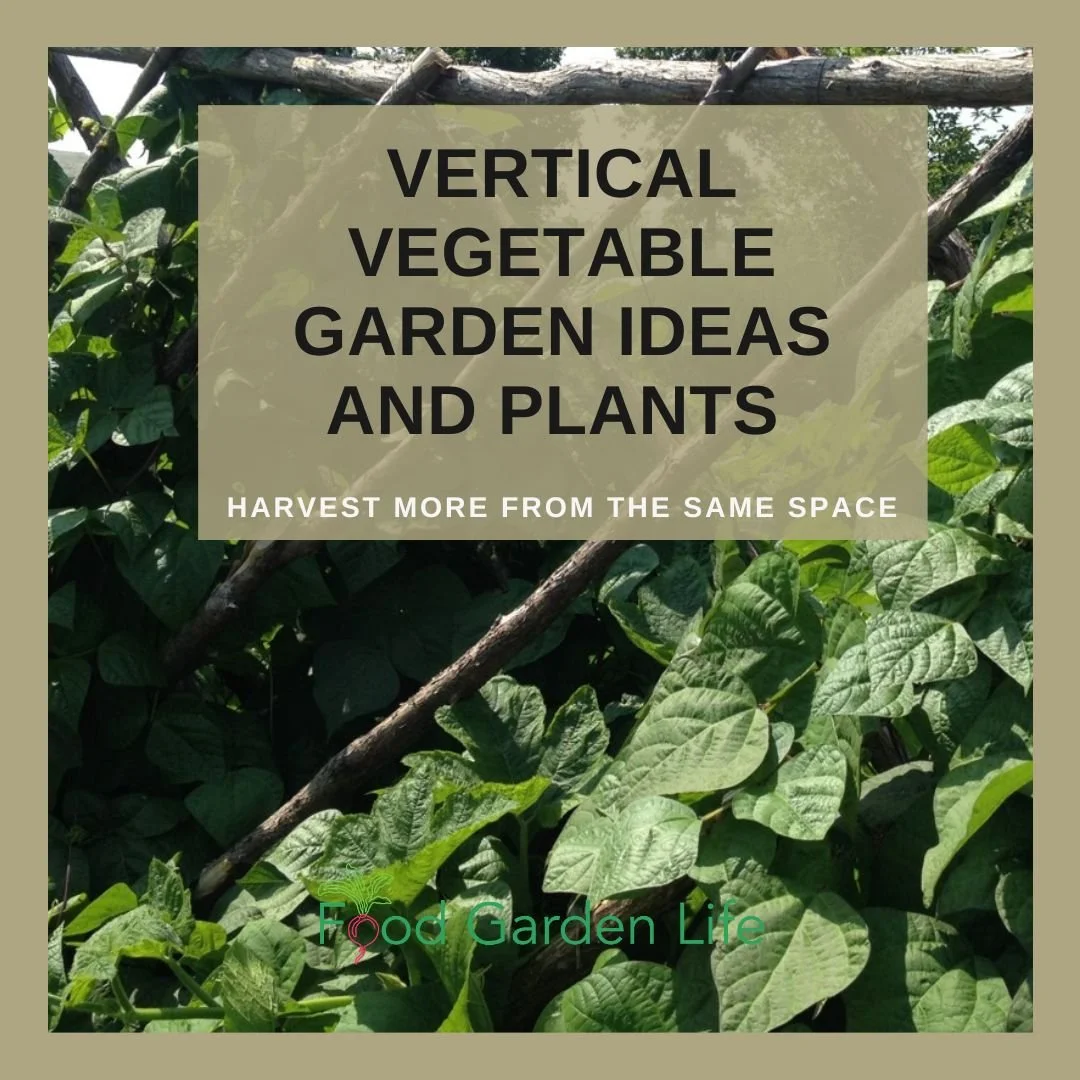 Guide: Vertical Vegetable Garden Ideas and Plants — Food Garden Life ...