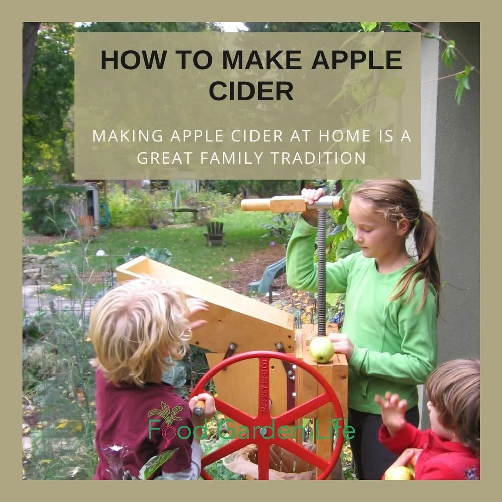 Make Apple Cider at Home — Food Garden Life: Edible Garden, Vegetable ...