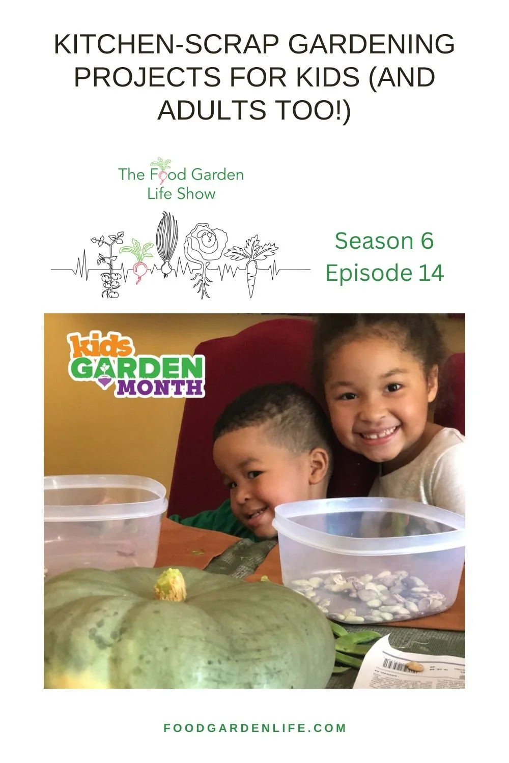 Kitchen Scrap Gardening: From Avacado to Ginger to Citrus — Food Garden ...