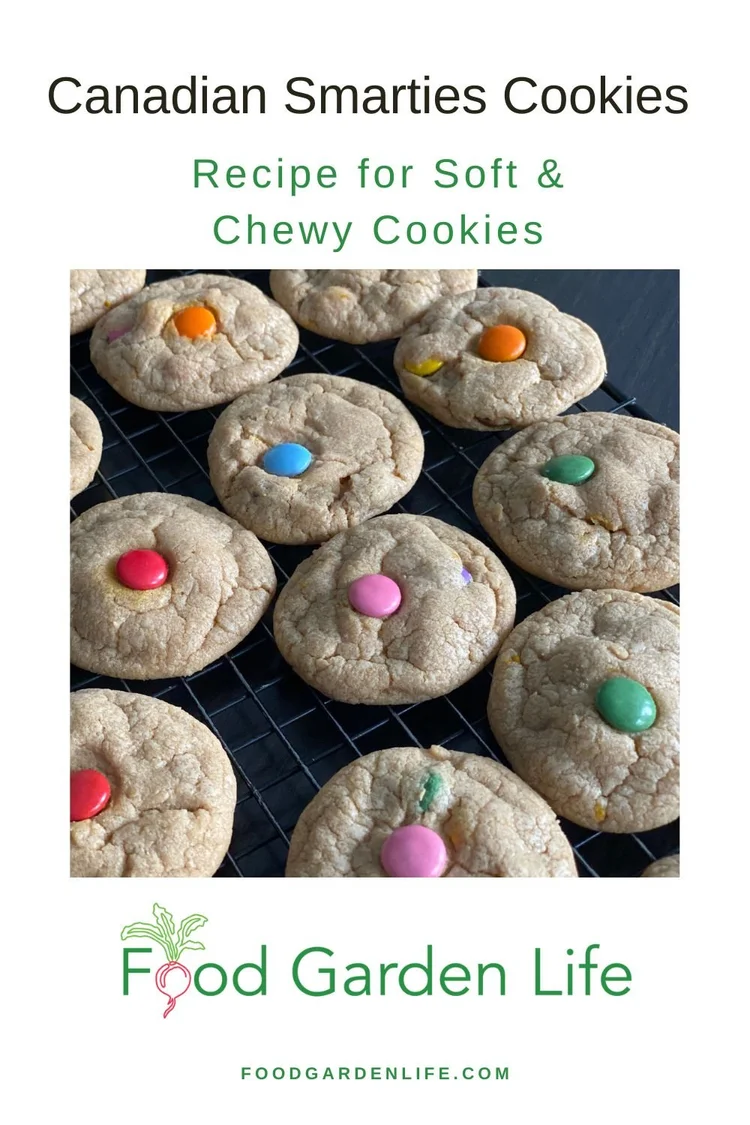 Canadian Smartie Cookies (Soft & Chewy Recipe) — Food Garden Life ...