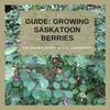 Guide to Growing Saskatoon Berries: Planting, Pruning, Care — Food ...