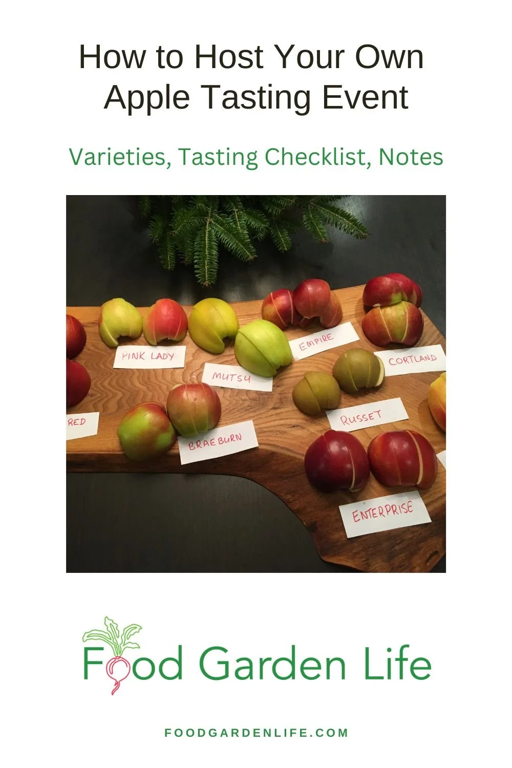 How to Host an Apple Tasting and Find the Best-Tasting Apple — Food ...