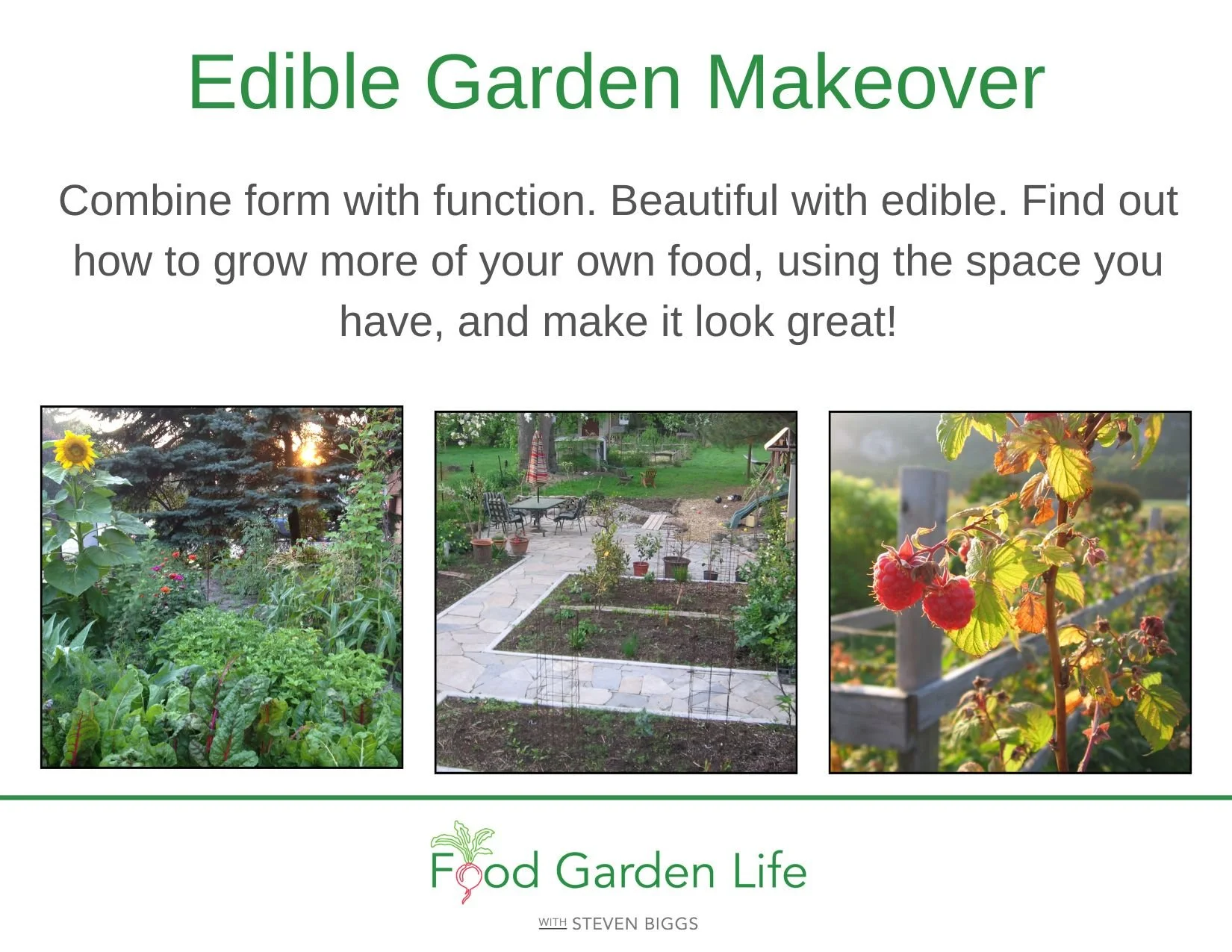 5 Types of Cherry Bush to Grow in Edible Landscapes and Food Forests ...