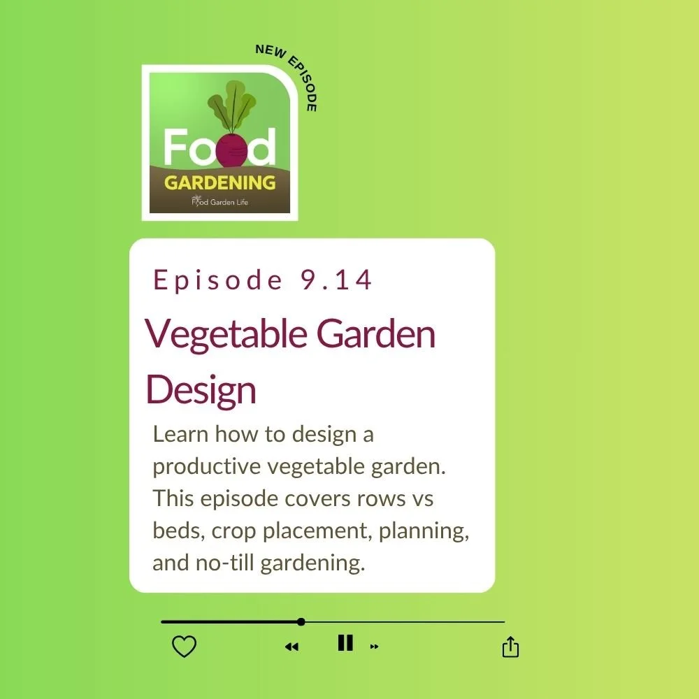 Vegetable Garden Design: Rows vs Beds, Crop Planning & Layout Tips ...