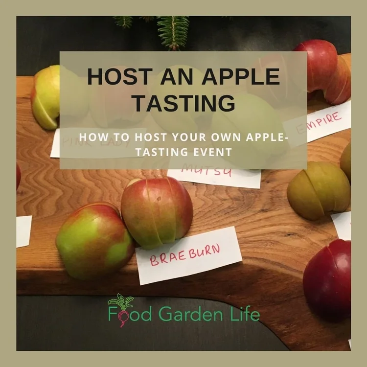 How to Host an Apple Tasting and Find the Best-Tasting Apple — Food ...