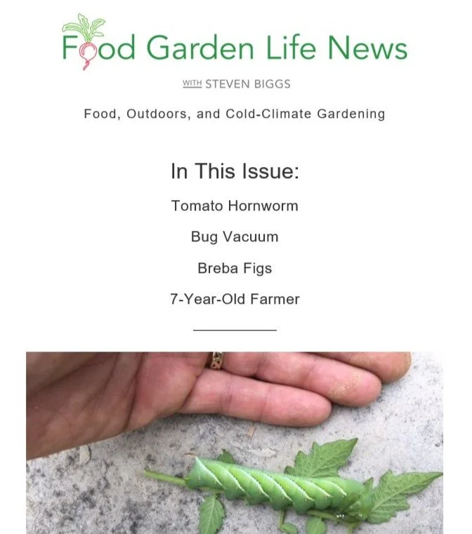 Newsletter FGL — Food Garden Life: Edible Garden, Vegetable Garden ...