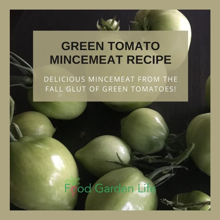Green Tomato Mincemeat Recipe — Food Garden Life: Edible Garden, Vegetable Garden, Edible ...