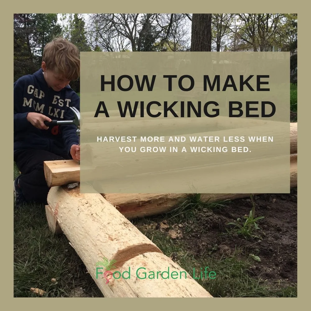 How to Make a Wicking Bed — Food Garden Life: Edible Garden, Vegetable ...