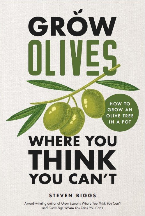 Think You can Grow Olives in Cold Climates? Here are Canadians Growing ...