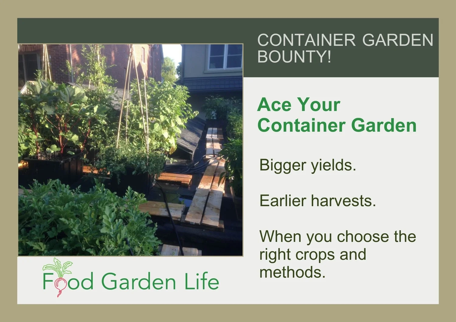 Wood Ash for the Garden: What You Need to Know — Food Garden Life ...