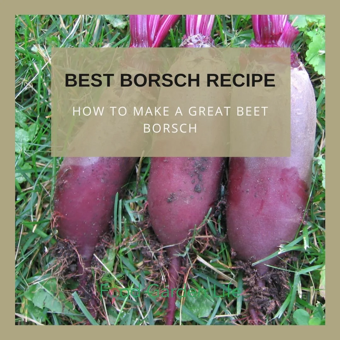Guide to Making the Best Borsch — Food Garden Life: Edible Garden ...