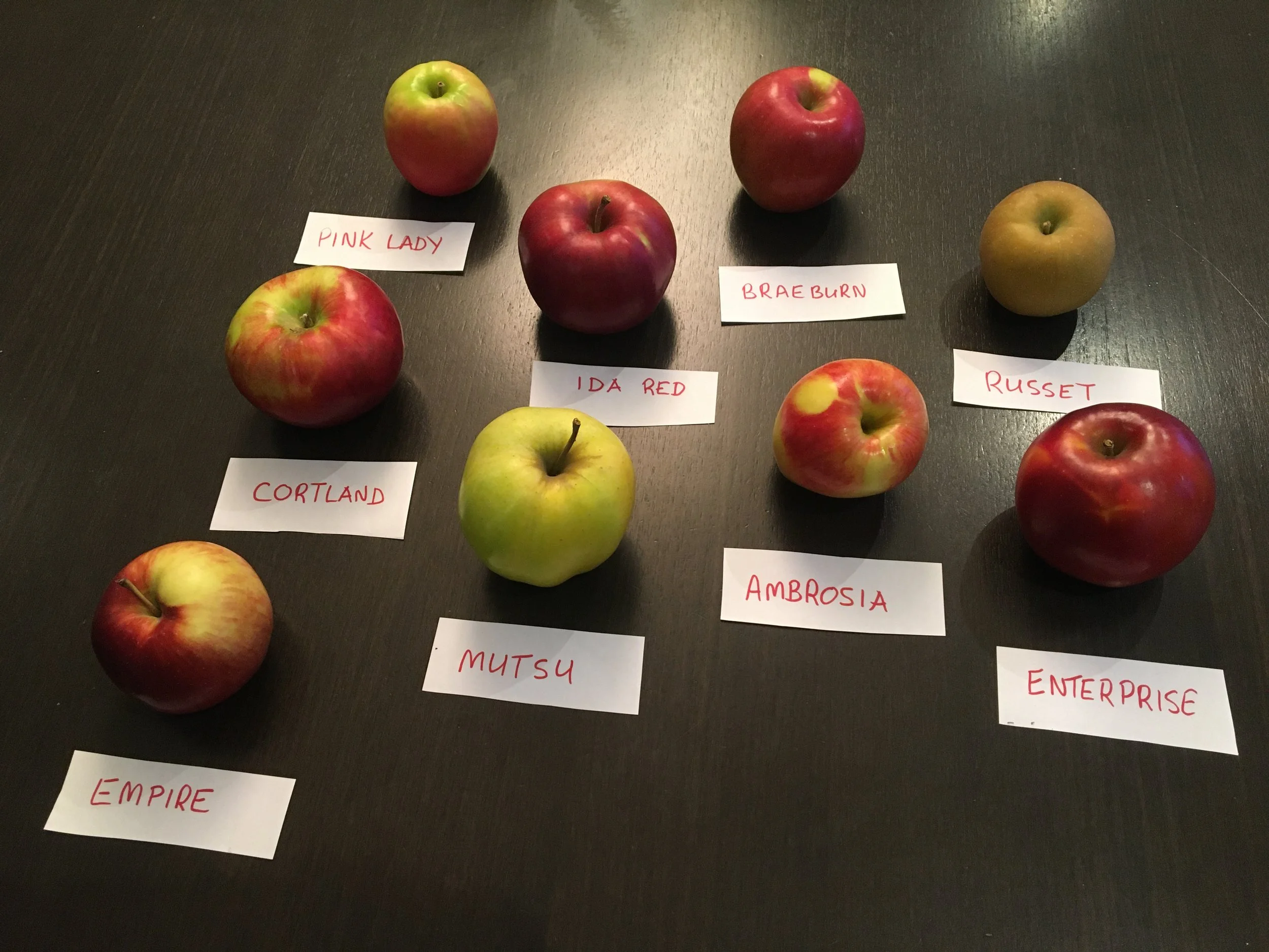 How to Host an Apple Tasting and Find the Best-Tasting Apple — Food ...