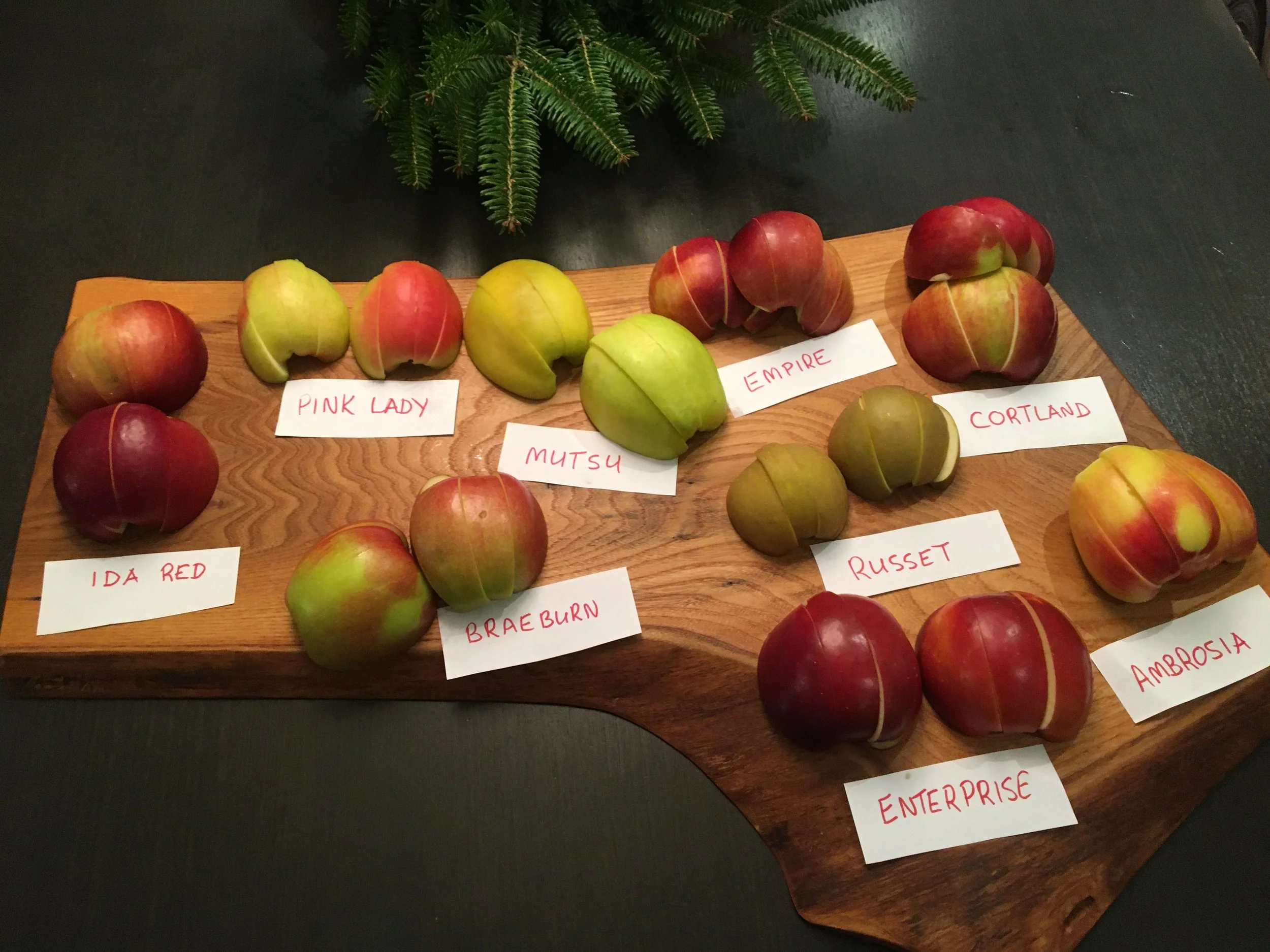 How to Host an Apple Tasting and Find the Best-Tasting Apple — Food ...