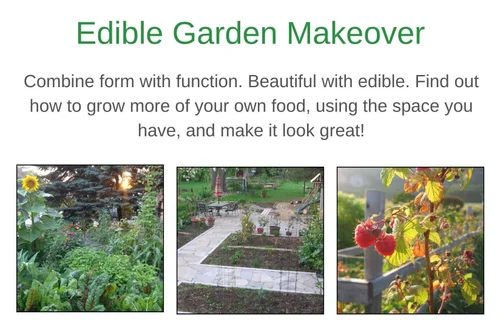 7 Vegetable Garden Layout Ideas To Grow More Food In Less Space — Food ...