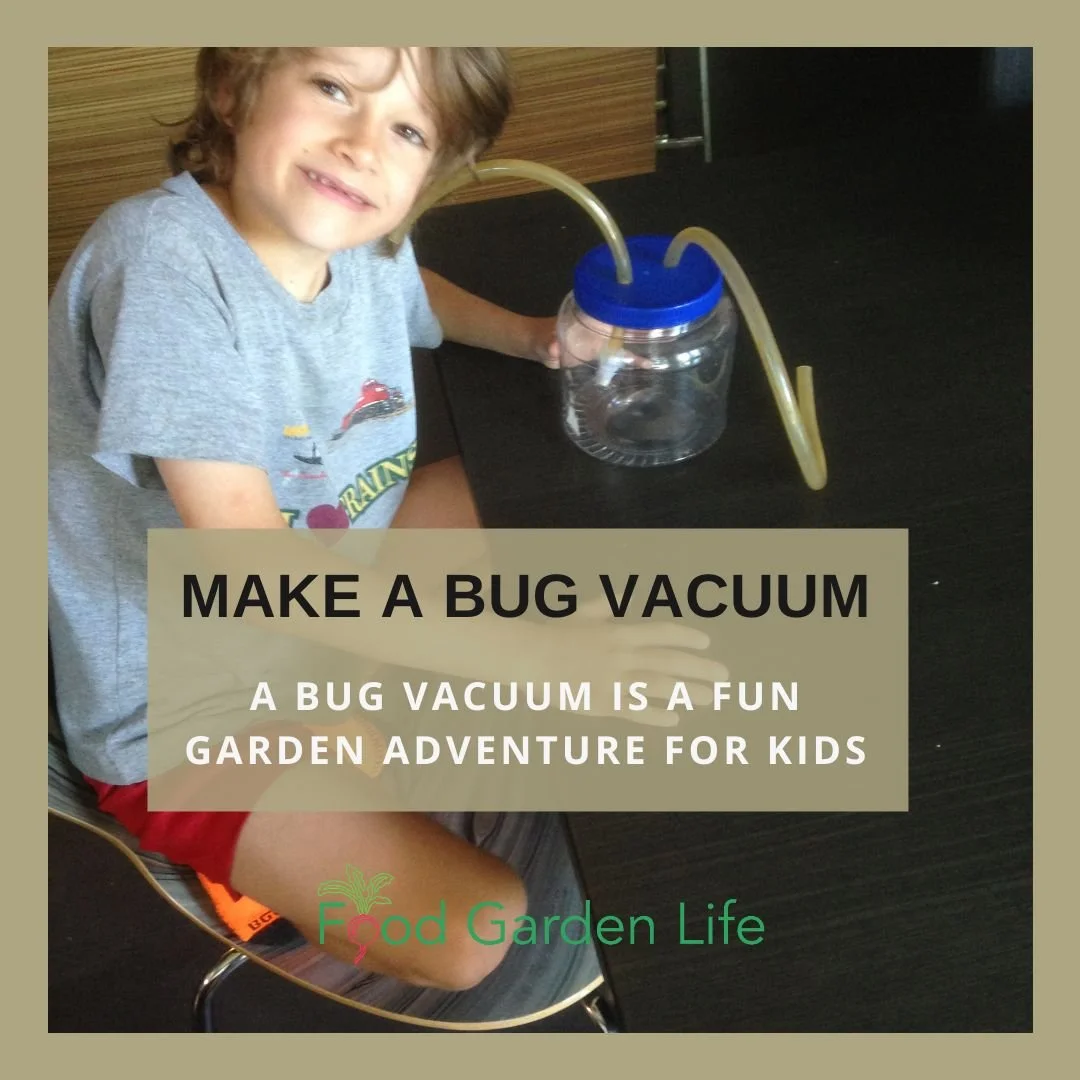 Make a Bug Vacuum — Food Garden Life: Edible Garden, Vegetable Garden ...