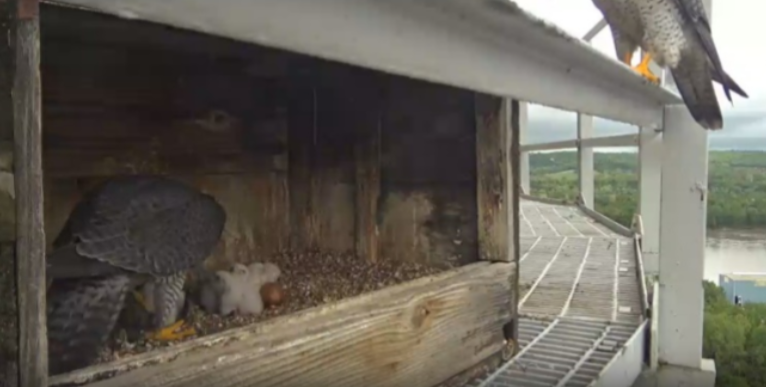 POWERforward Missouri