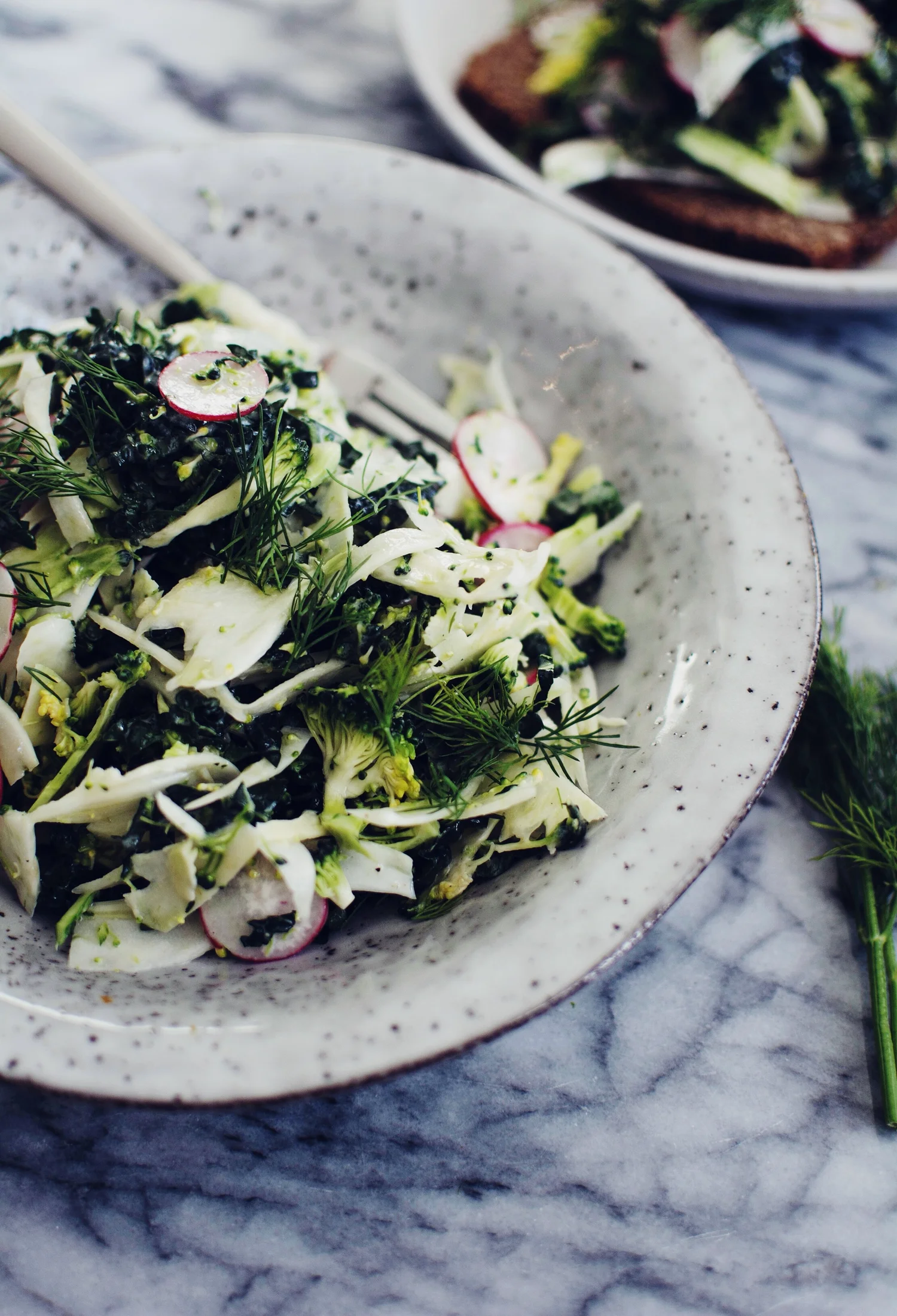 Vegan Fennel, Radish + Broccoli Slaw | gabriella simonian