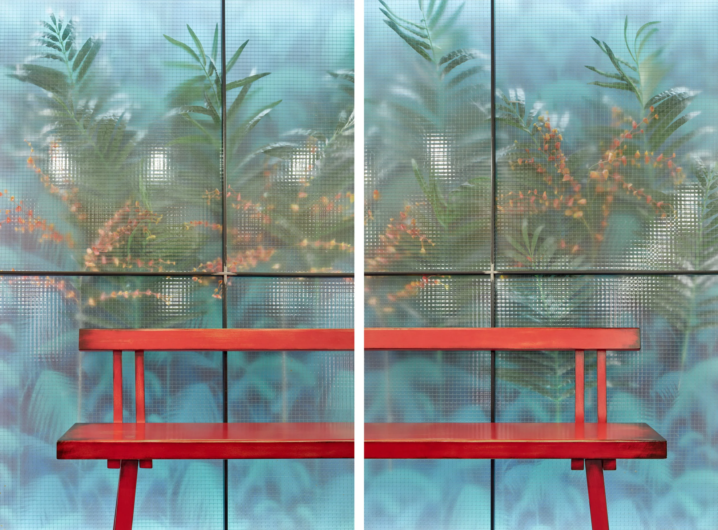 MODRY ZUB — Formafatal