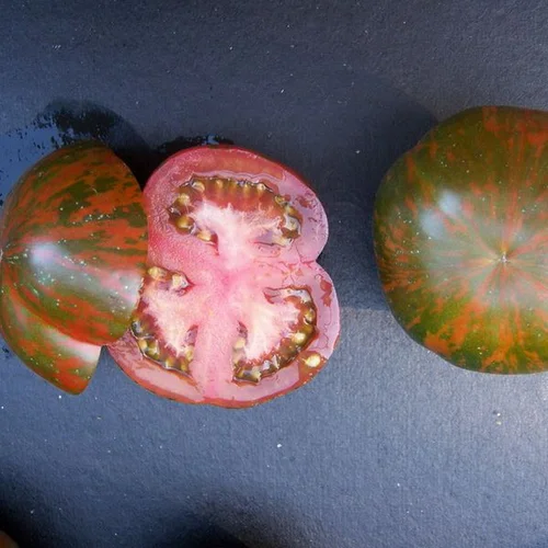 What if You Could Create Three New Tomato Varieties a Year? What if We ...