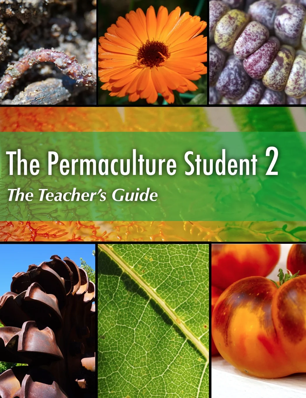 Curriculum — The Permaculture Student