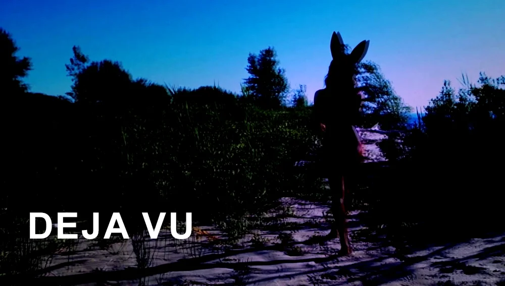 Jisel Lynn - Deja Vu — Professional Photographer, Videographer & YouTuber