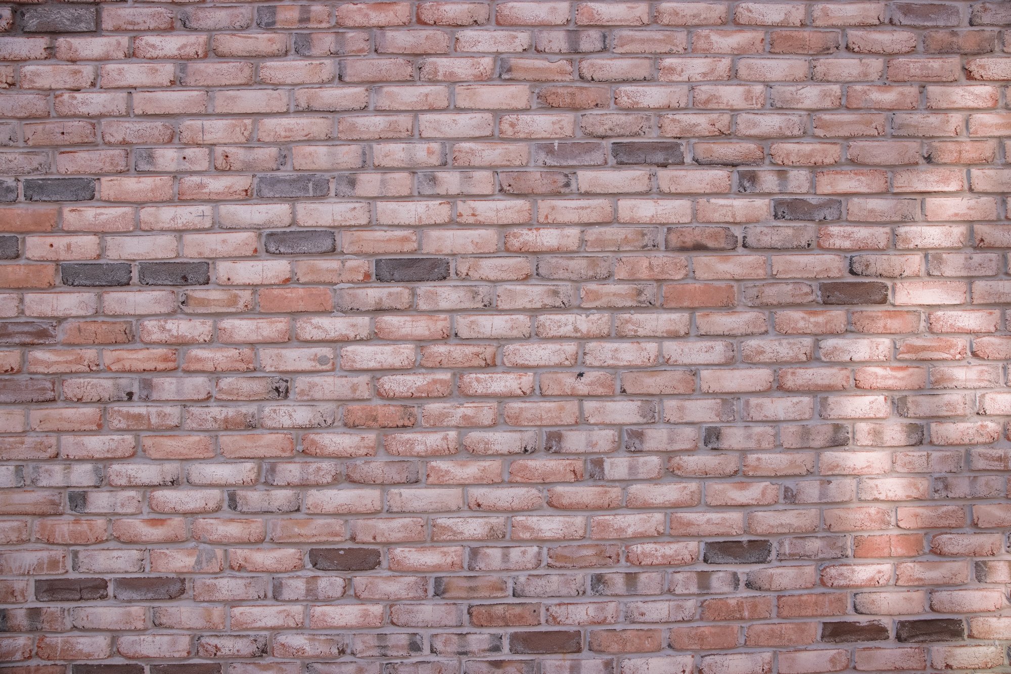 Canon RF 28 70 f2 L First Impressions — Professional Photographer ...