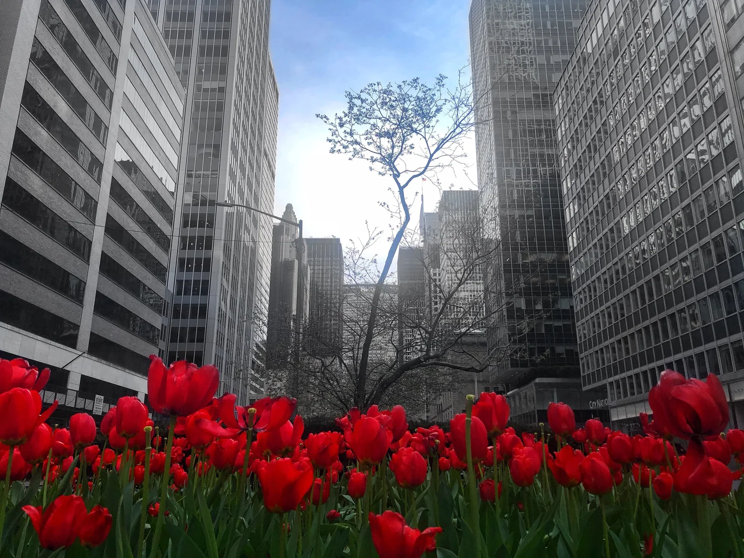 A Dear John Letter to NYC — Glorious Broads