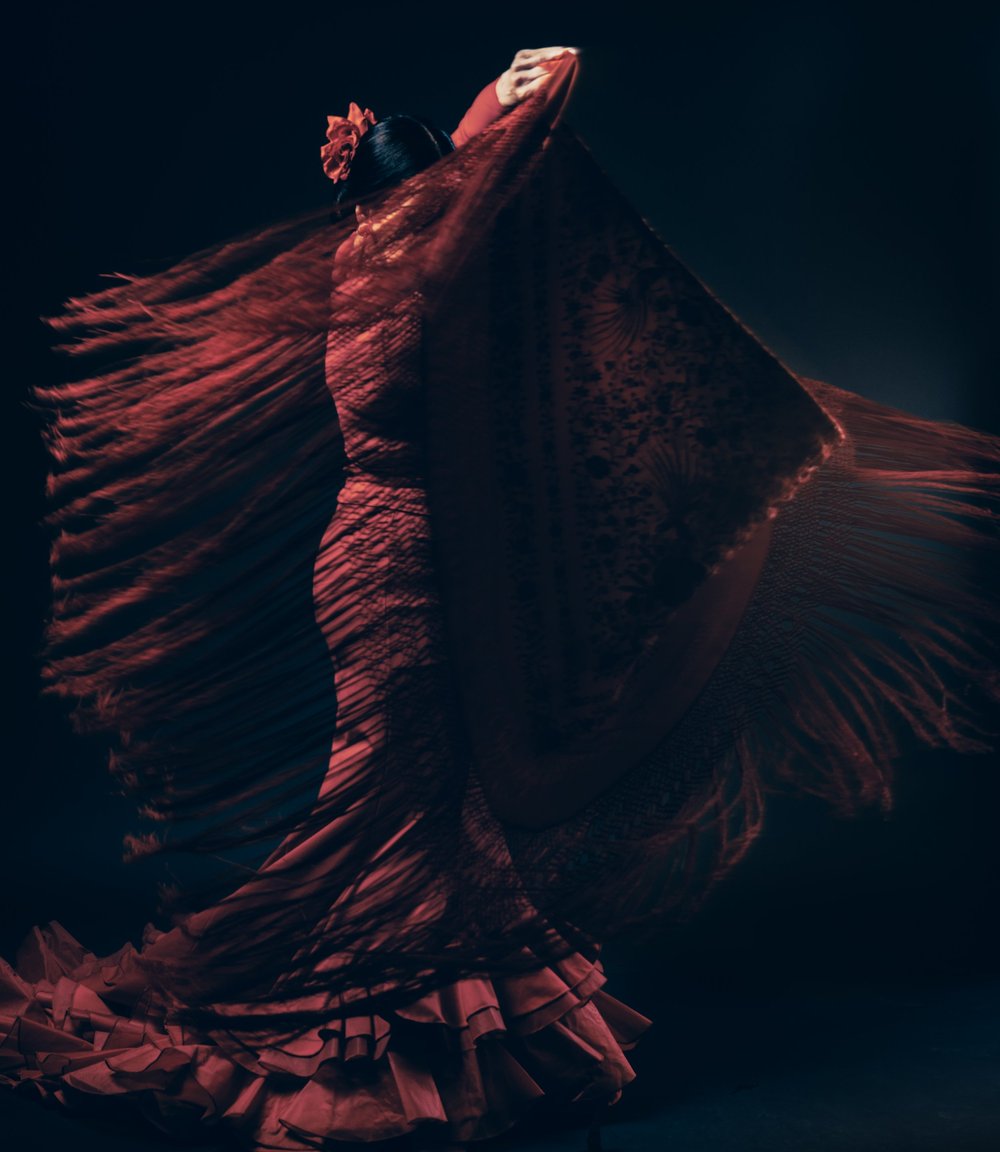 Meet the Glorious Broads — Glorious Broads