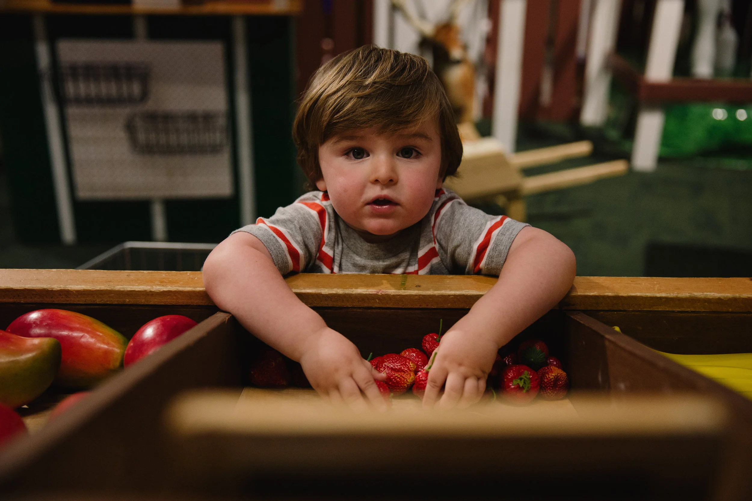 Exhibits — Explore More Discovery Museum