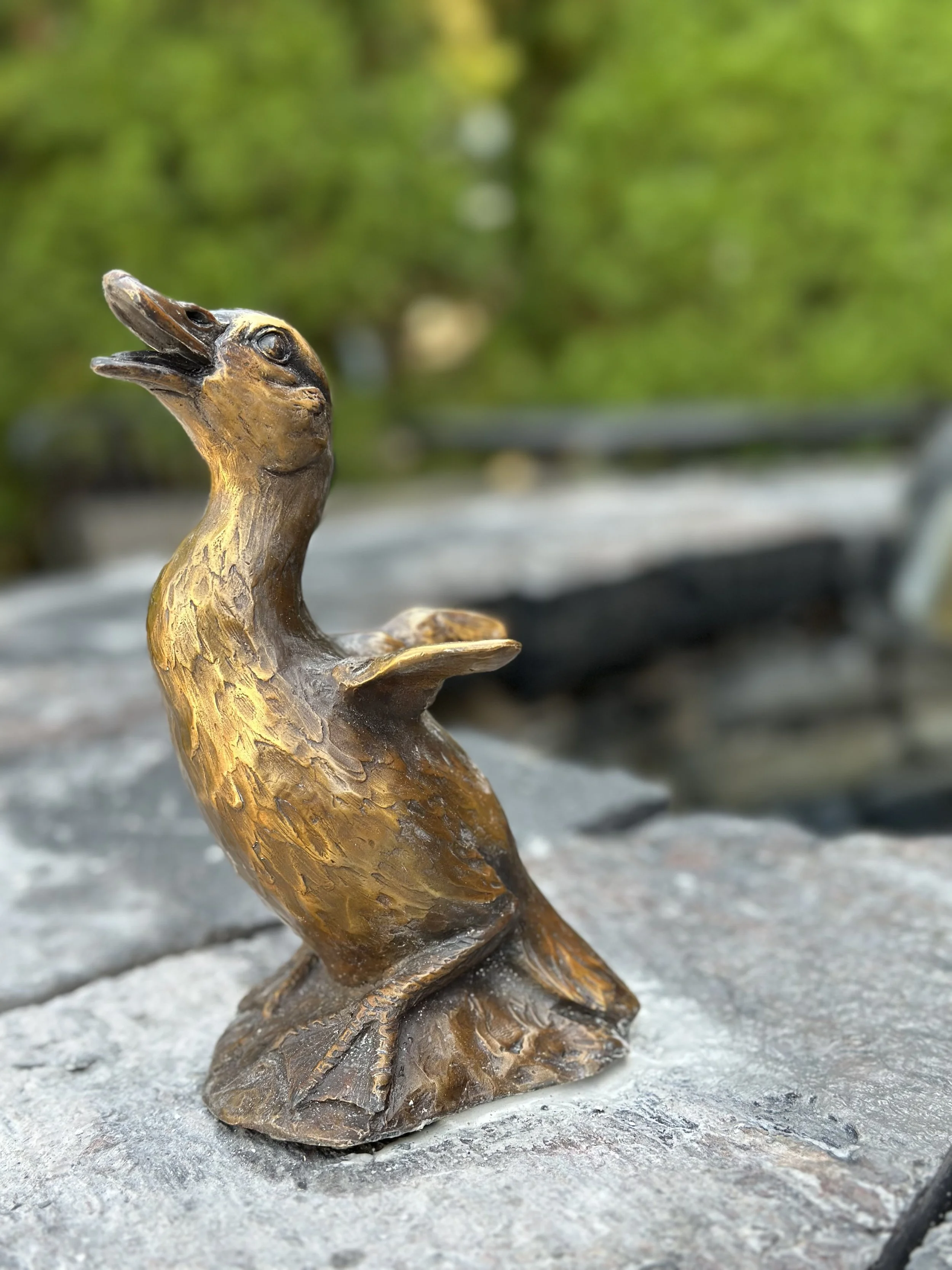 Downtown Ducklings — Explore More Discovery Museum