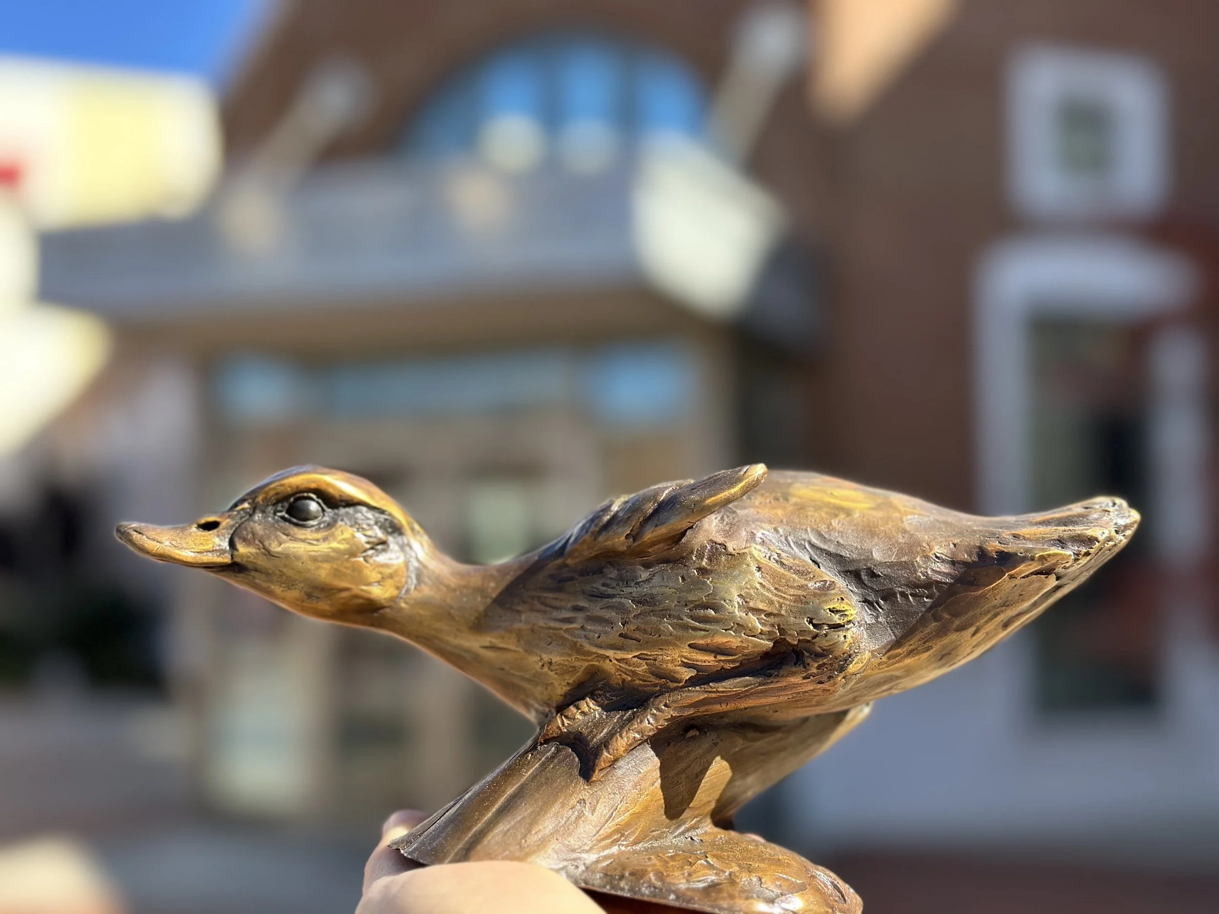 Downtown Ducklings — Explore More Discovery Museum