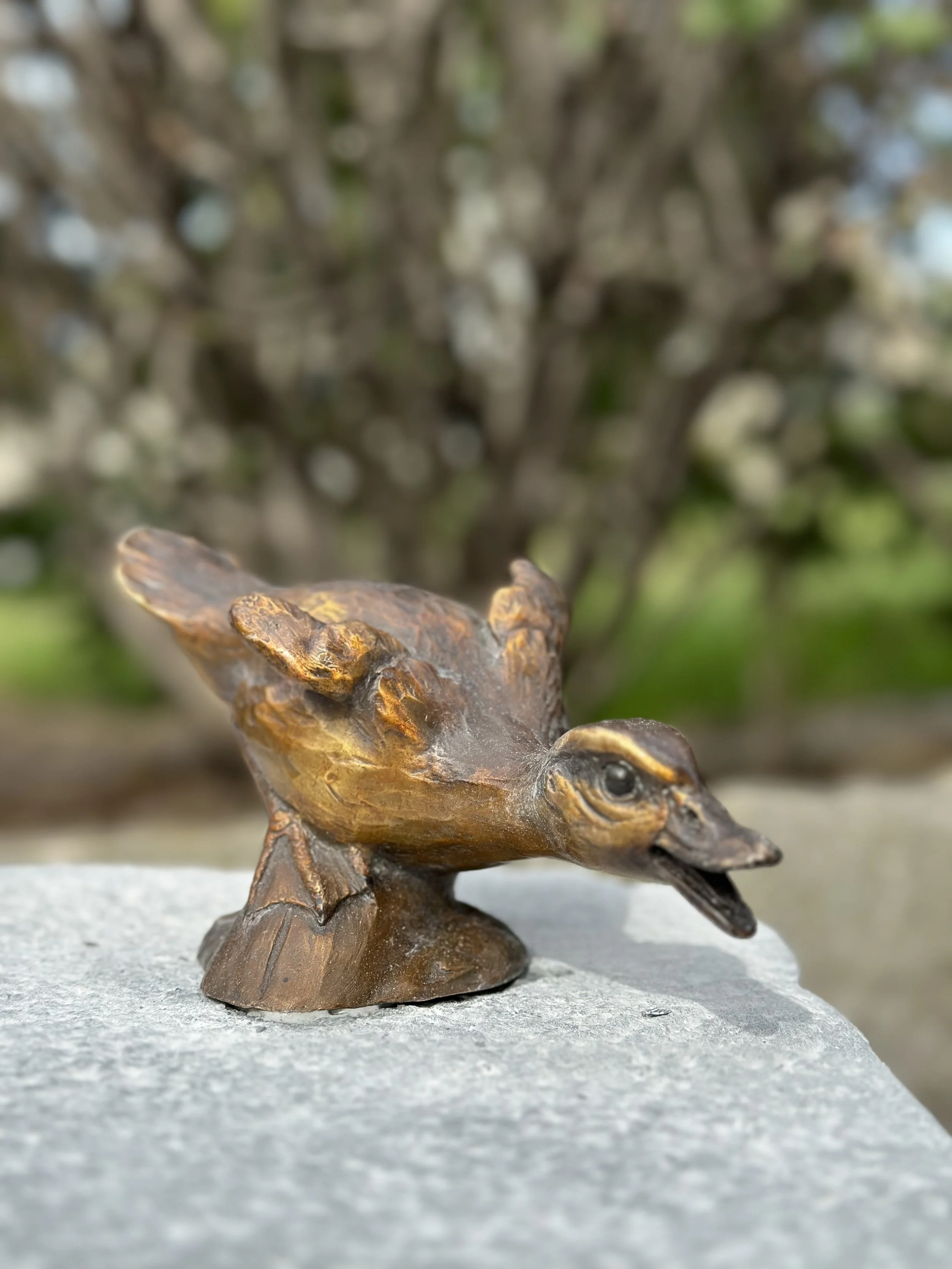 Downtown Ducklings — Explore More Discovery Museum