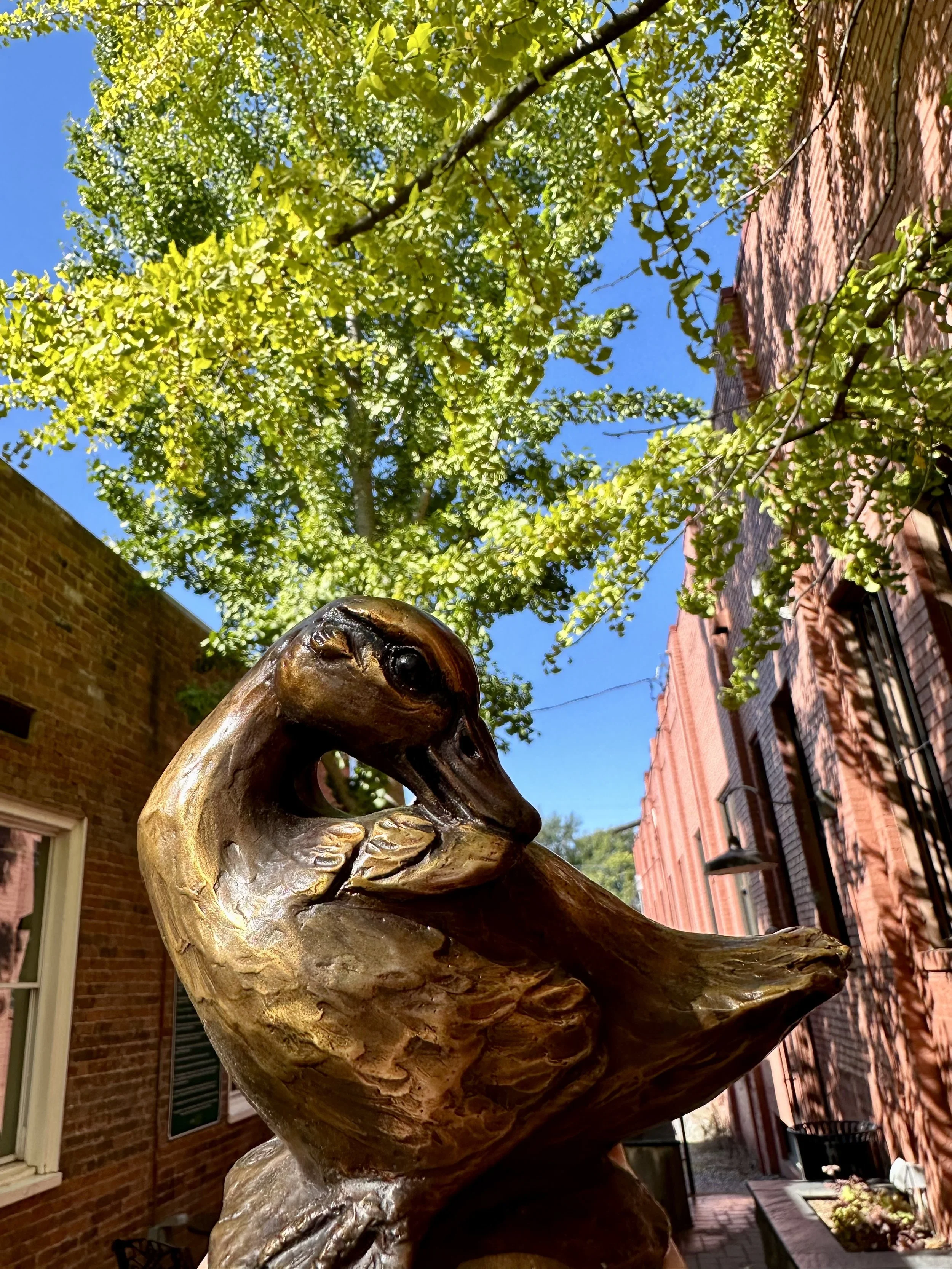 Downtown Ducklings — Explore More Discovery Museum